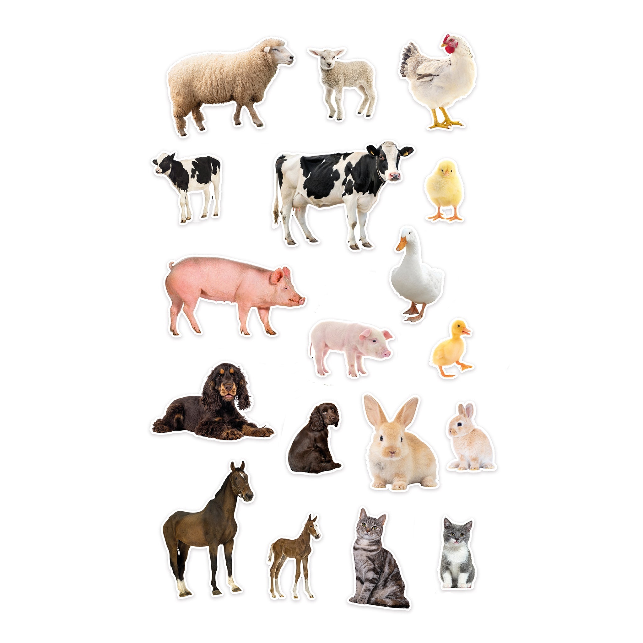 Magnetic farm animals, 18 pcs – MyPauze
